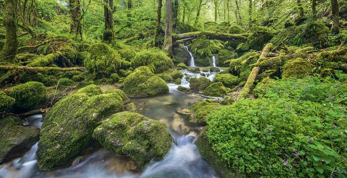 Pro Natura Basel