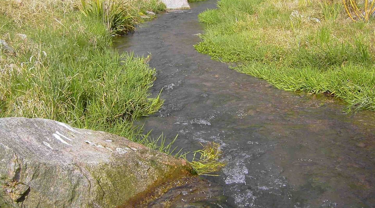 Naturschutzgruppe Riehen | Pro Natura Basel